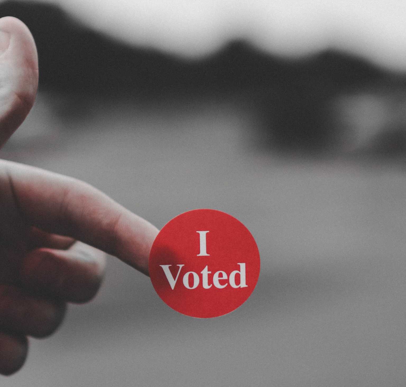 Everything You Need to Know about Dot Voting Estimation Technique | Do ...